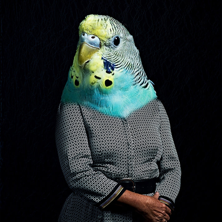 Mind Map Series – Umbrella Studio