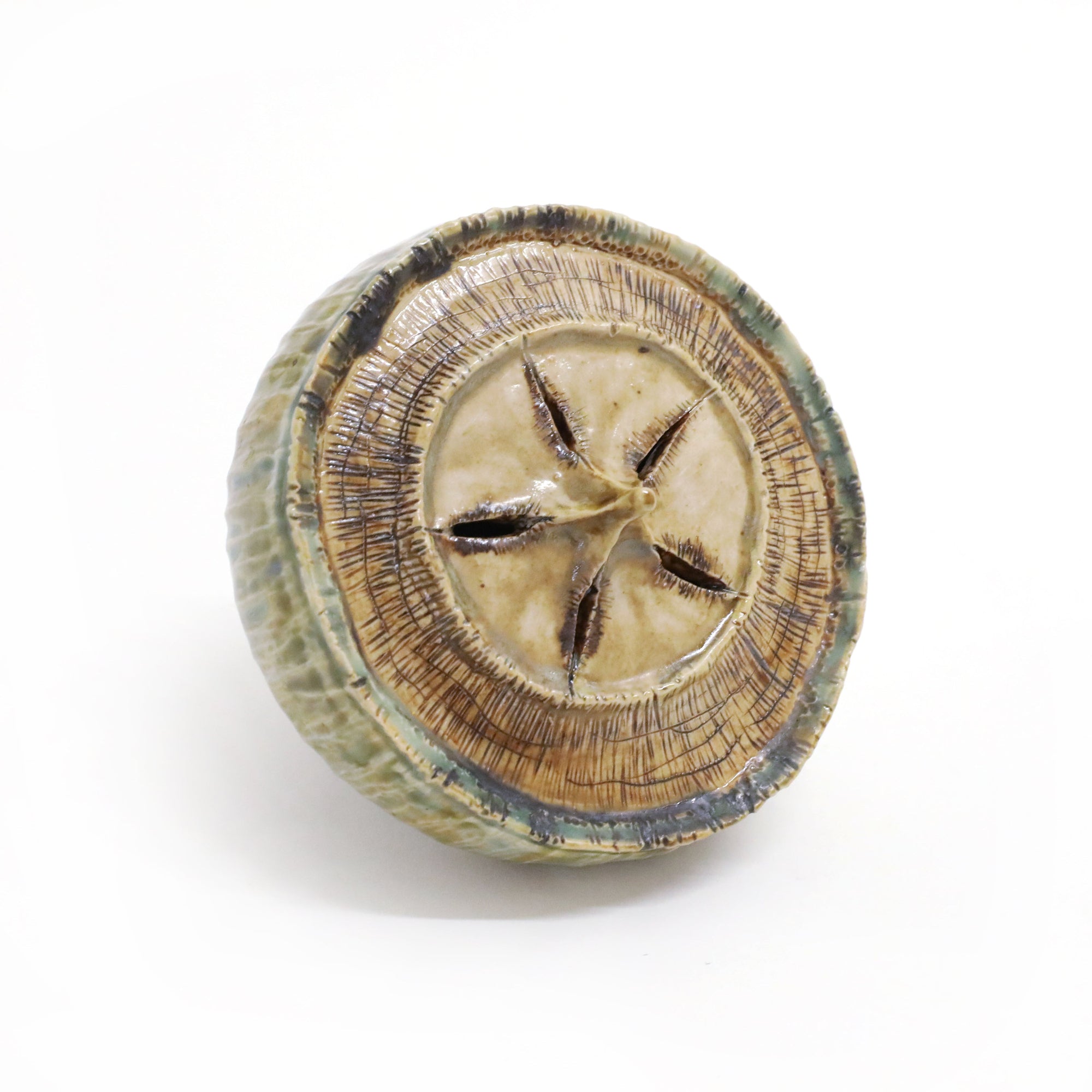 Eucalyptus Seedpod (brown) – Umbrella Studio