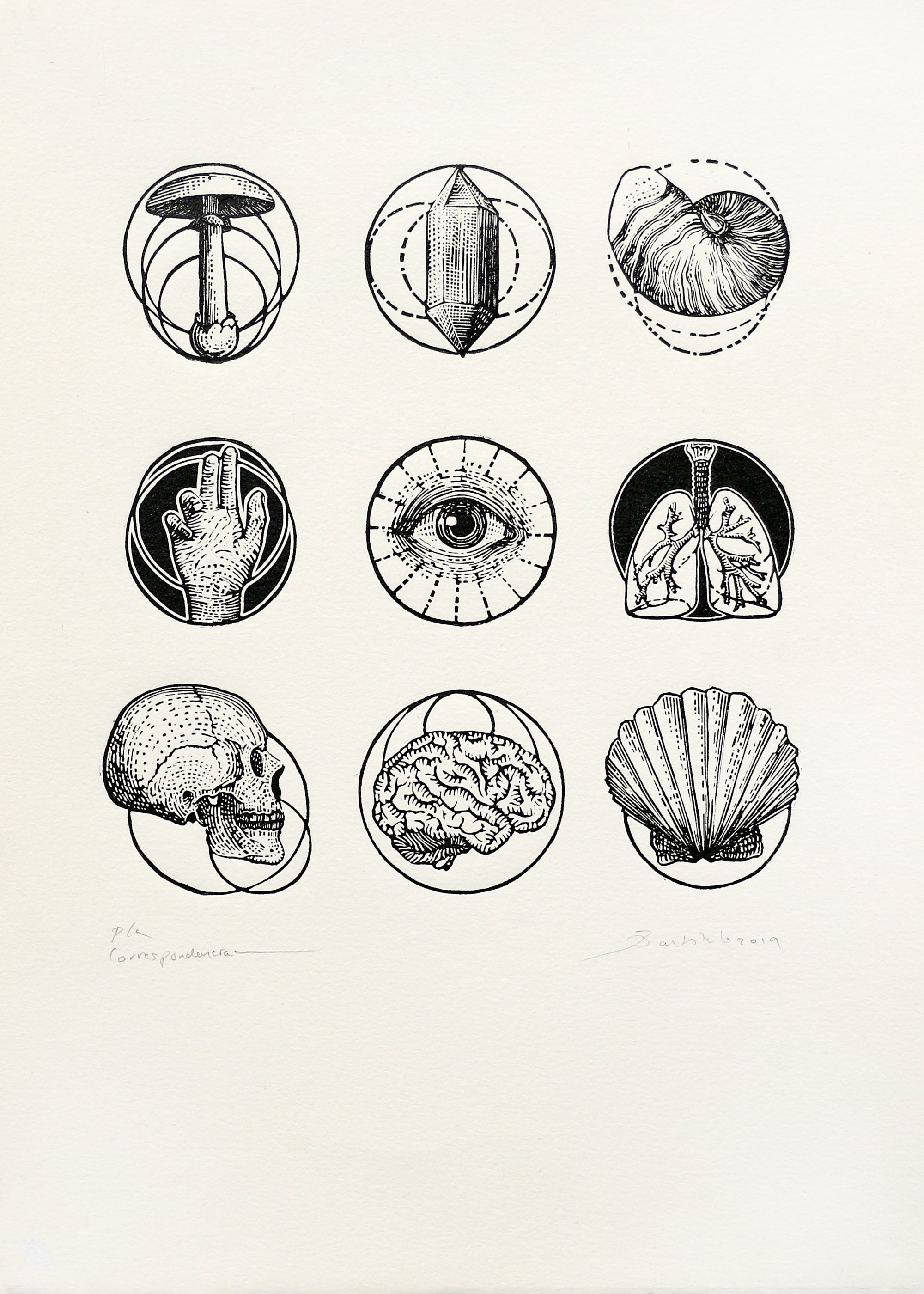 56. Correlaciones – Umbrella Studio