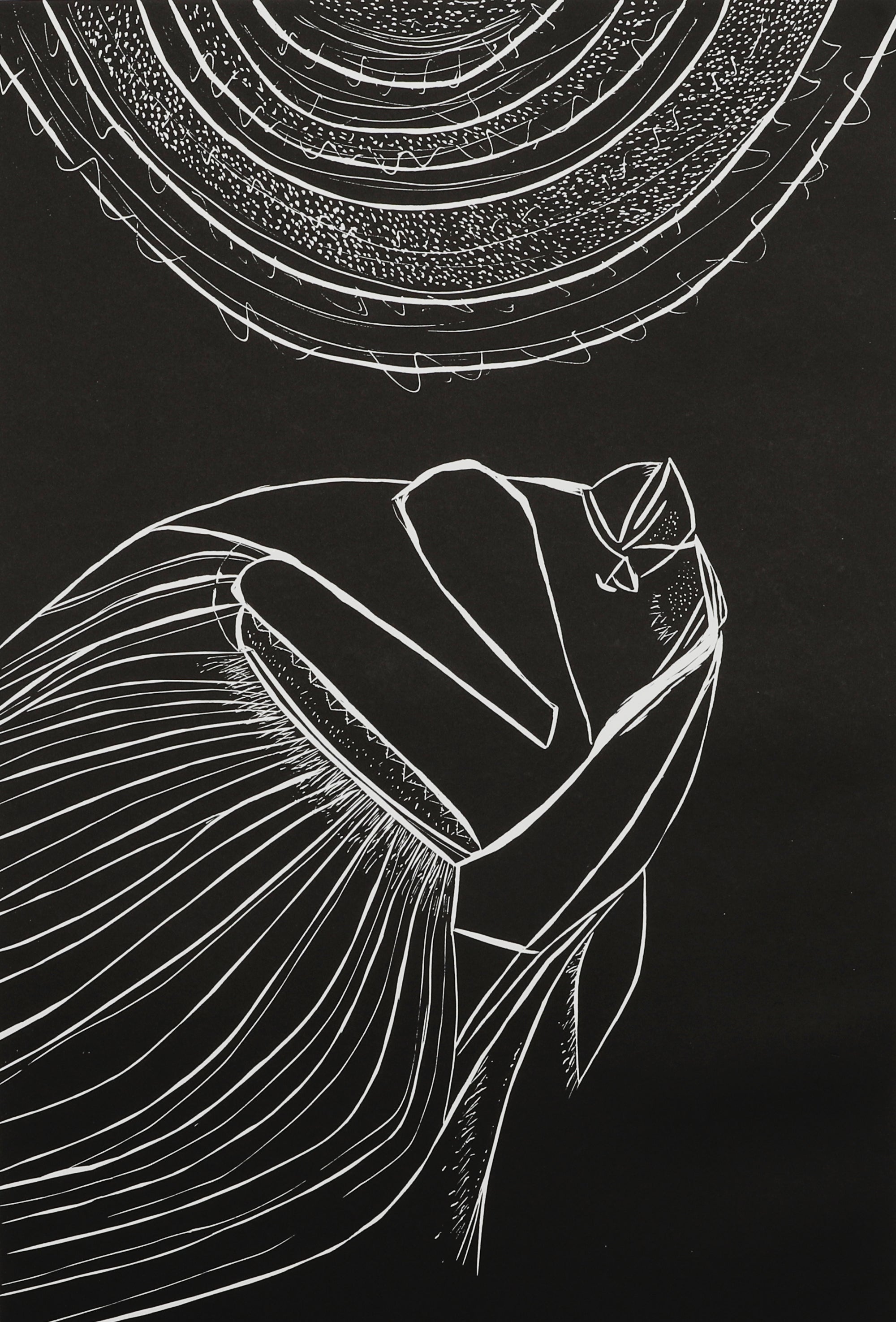 Reef Fish – Umbrella Studio