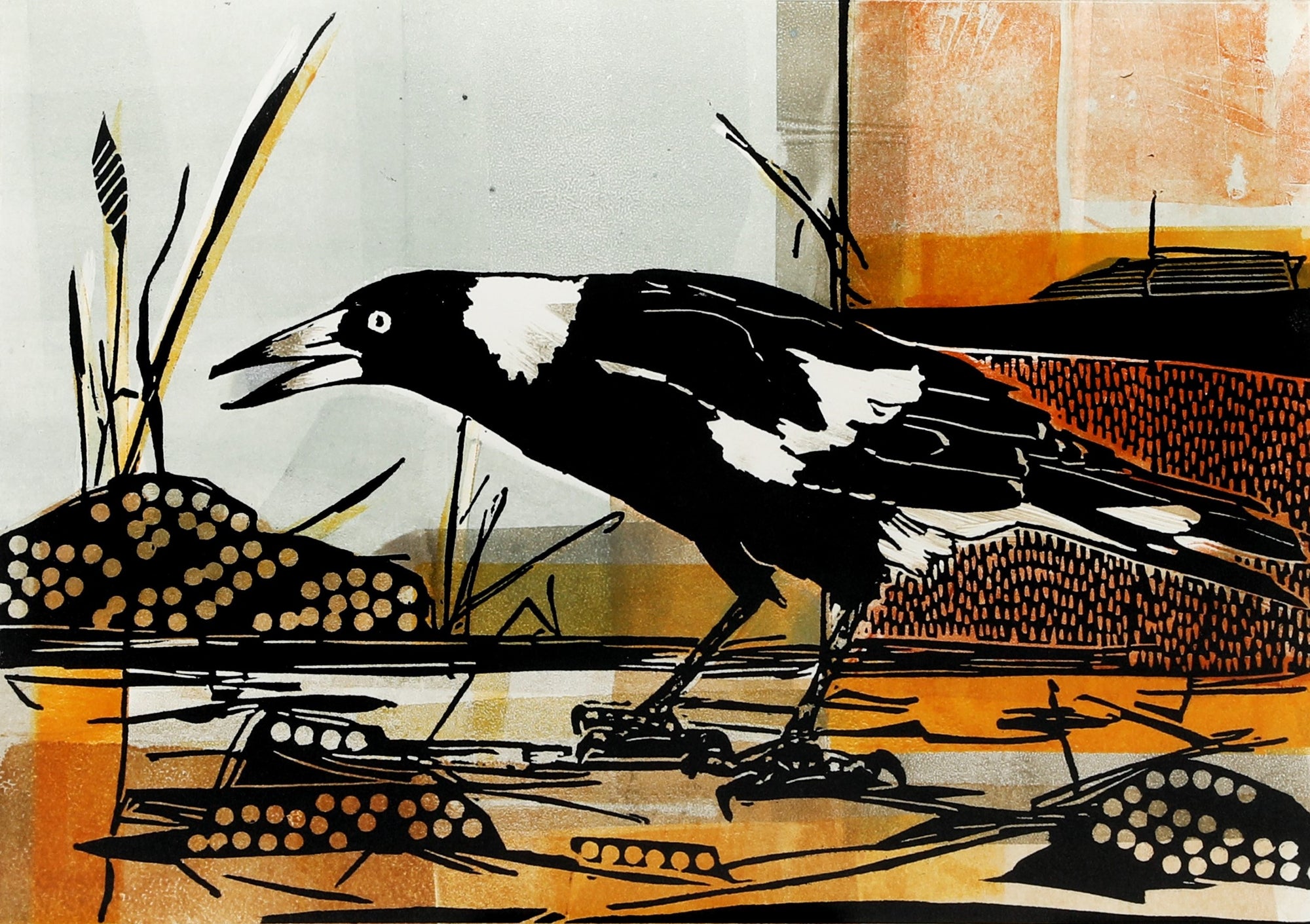 Australian Magpie – Umbrella Studio