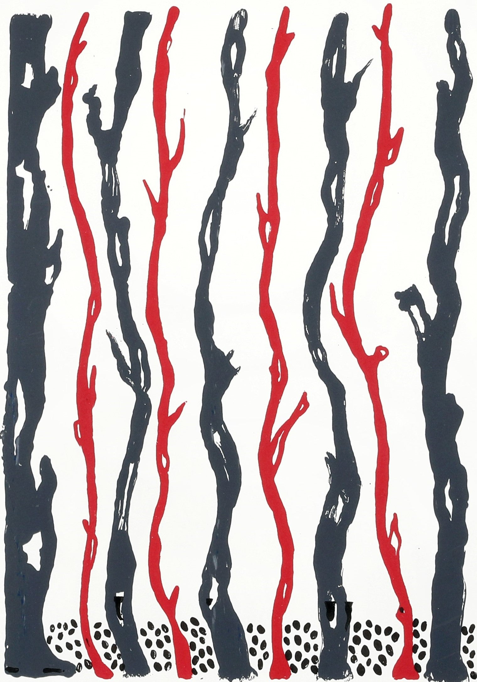 Mulga Tree Seeds – Umbrella Studio